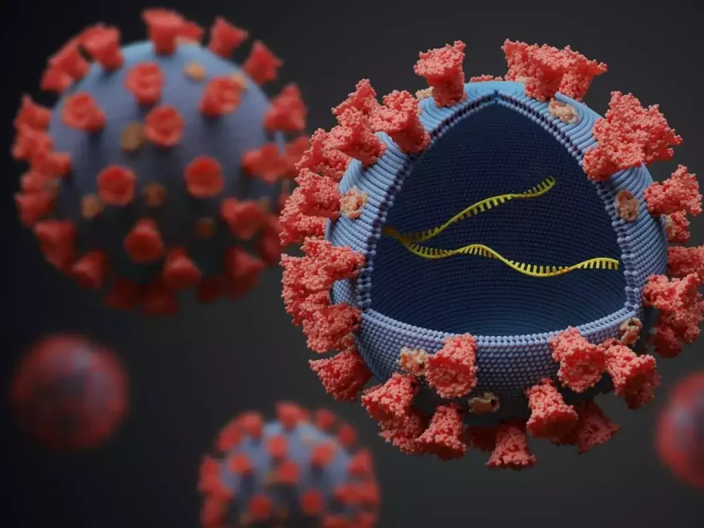 KKM kesan 119 varian Omicron, 69 varian Delta – BBC PORTAL